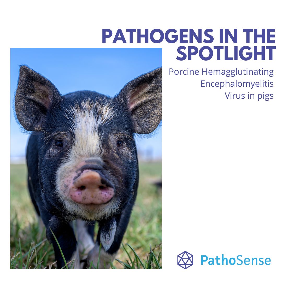 PathoSense news and articles